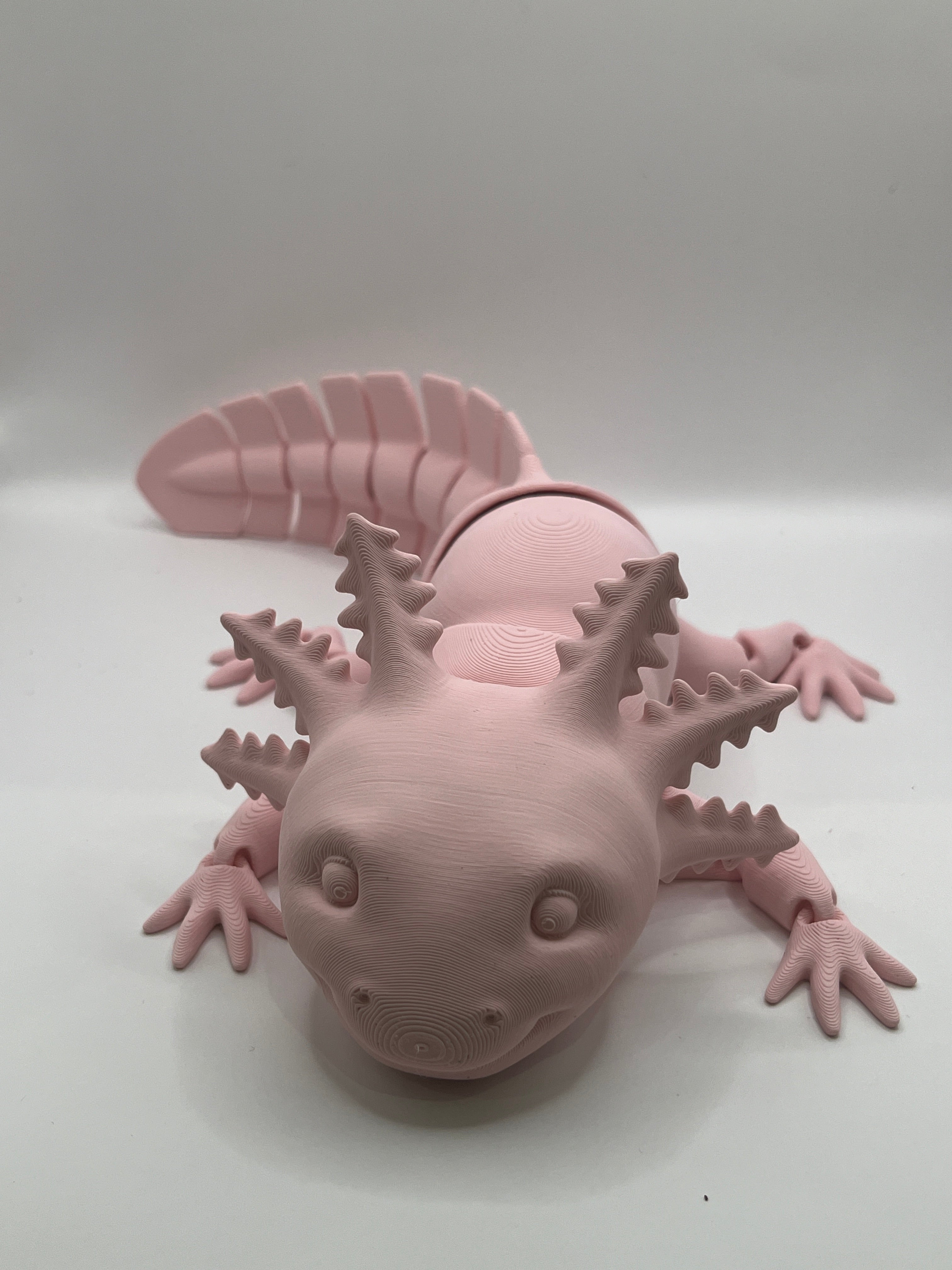 Articulated Axolotl – JD3DPrint